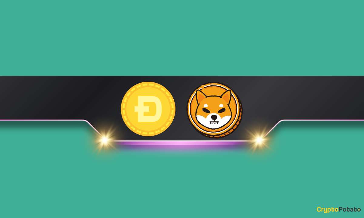 Important Dogecoin (DOGE) and Shiba Inu (SHIB) Metrics Explode by ...